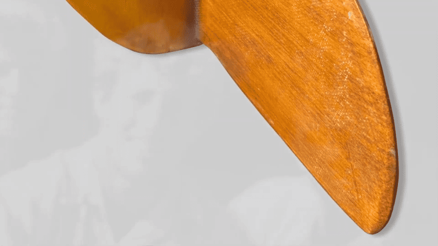 Velzy Pig Vintage Surfboard | Surf Auction